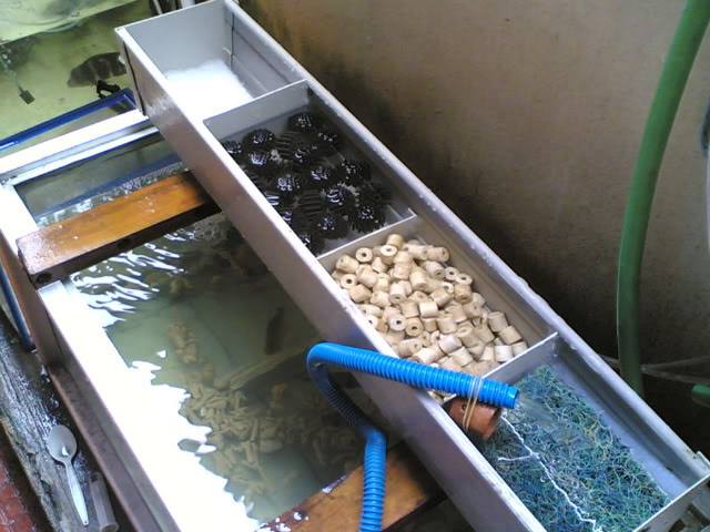 Memilah Perbedaan Manakah yang Terbaik dari Cannister Filter & Top ...